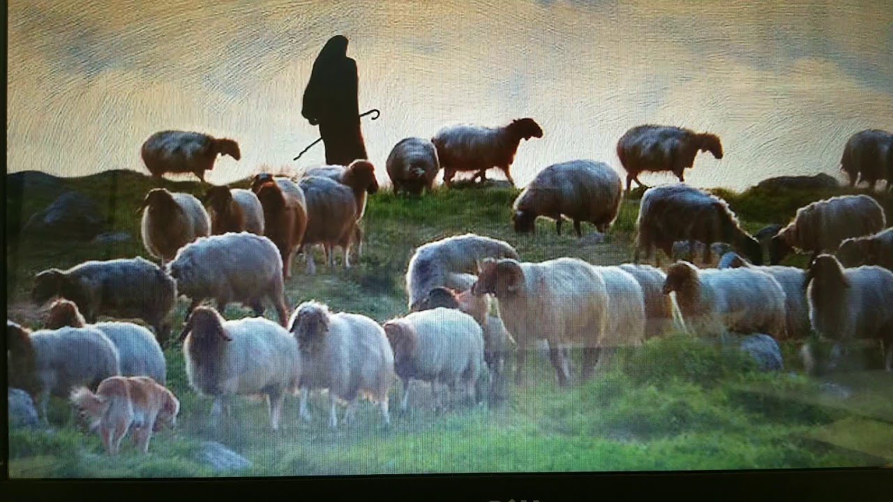 Celebrate Mass for the 4th Sunday of Easter - Cycle A - YouTube