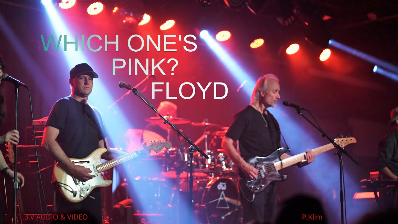 WHICH ONE'S PINK? 12/03/2022 @The Coach House in San Juan Capistrano ...