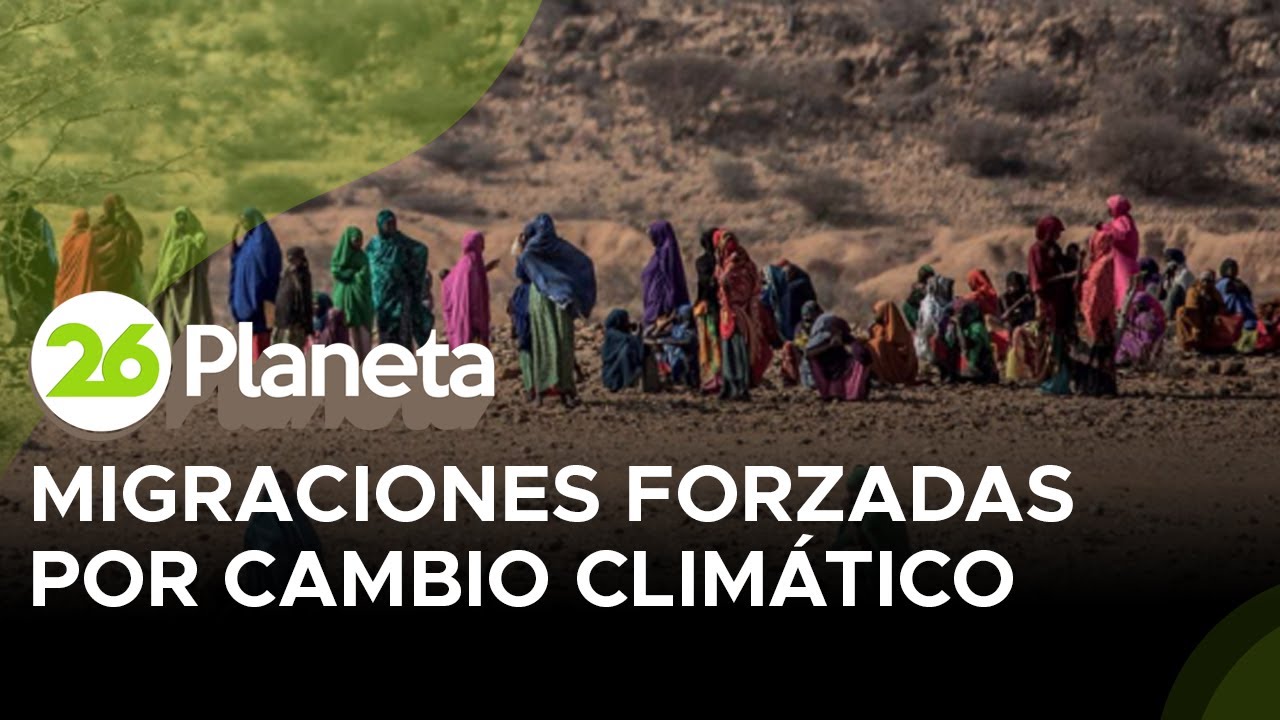 Migraciones forzadas por cambio climático - YouTube