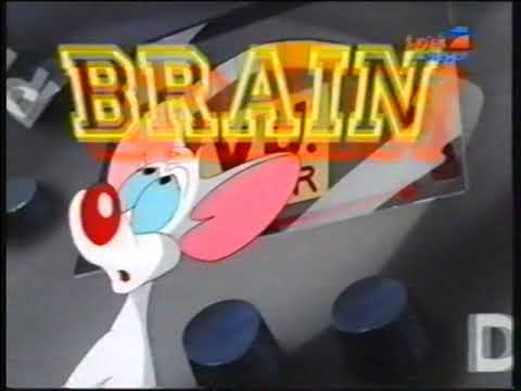 Pinky und der Brain (Pinky and the Brain) Titelmelodie / Intro (deutsch ...