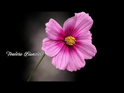 Kay - Foulera (Lianzizi)