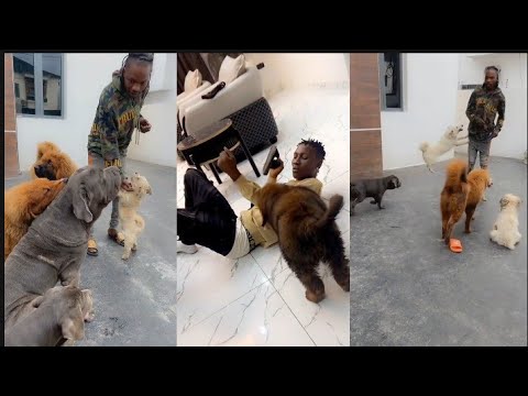 Naira Marley SUPER EXCITED as He Gives His Dogs Igbo to Smock for the ...