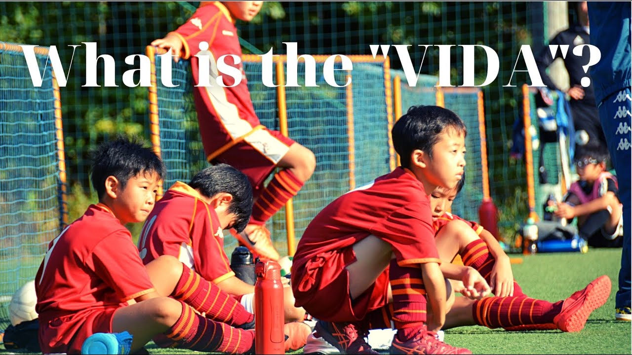 What is the "VIDA"? - YouTube