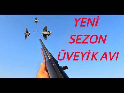 ÜVEYİK AVI  2026-2027 sezonu , Doğal ortam, keyifli bir av, güzel atışlar oldu. DOVE HUNTİNG
