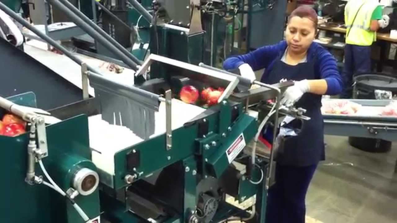 Sims Manufacturing - Semi-Automatic Poly Bagger (2) - YouTube