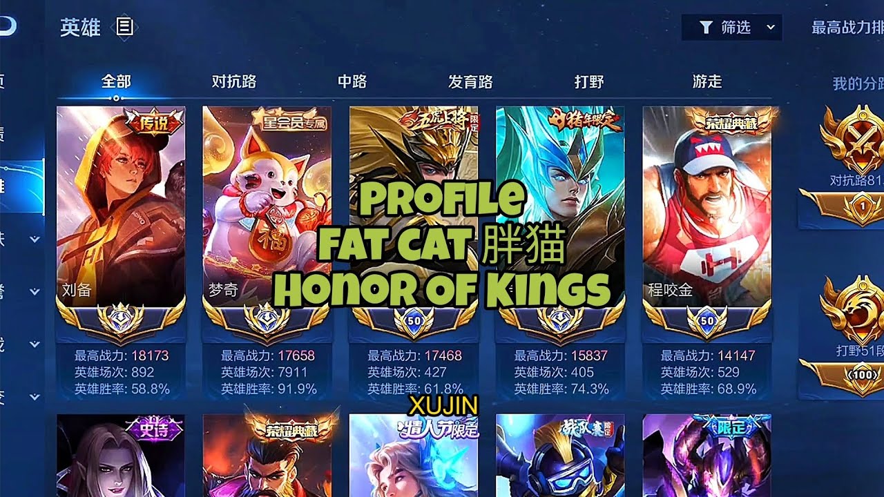 Profile Fat Cat 胖猫 Win Rate 91.9% Match 7911 Honor Of Kings Top Hero ...