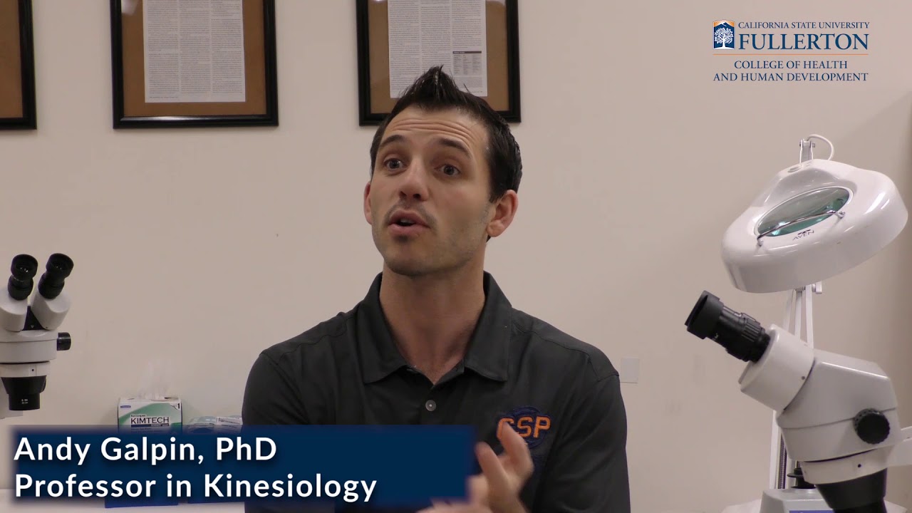 Dr. Andy Galpin Discusses Intermittent Fasting - YouTube