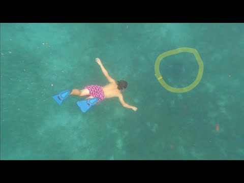 Schildis und Rochis😍 aber ich hab vielleicht Covid?😕 / Vlog#35