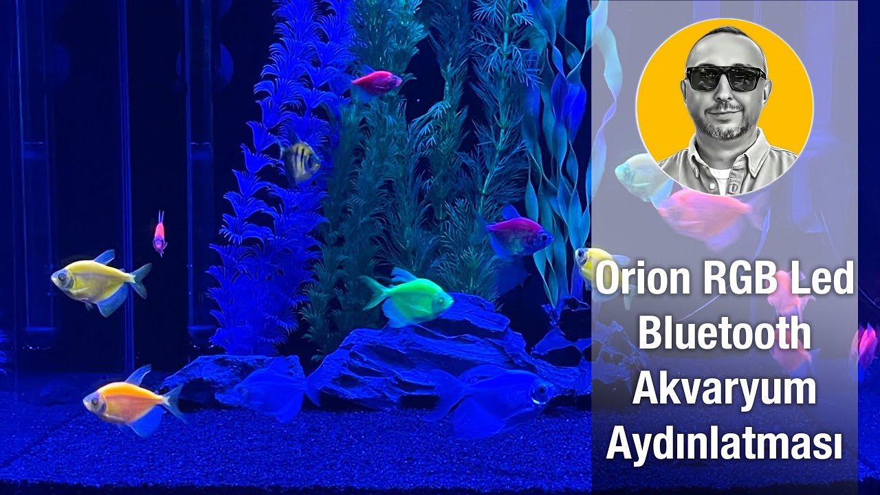 Orion RGB Led Bluetooth Akvaryum Armatürü / Aydınlatması #orion #rgbled ...