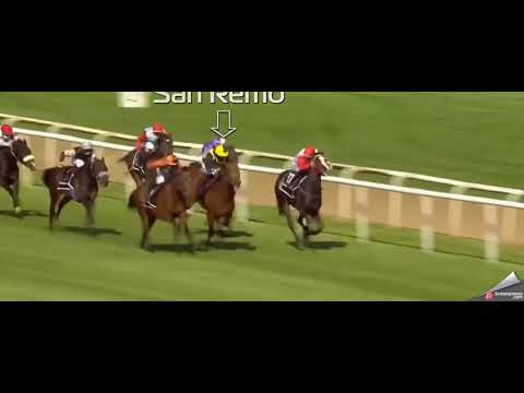 22 MAYIS DRESDEN ALMANYA AT YARISLARI FAVORI ATLARIN VIDEOLARI