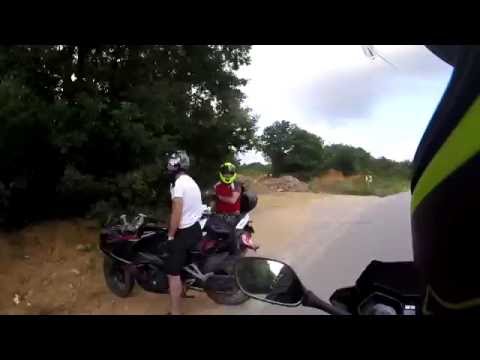 Eşek arısı soktu 😮( Sansürlü )