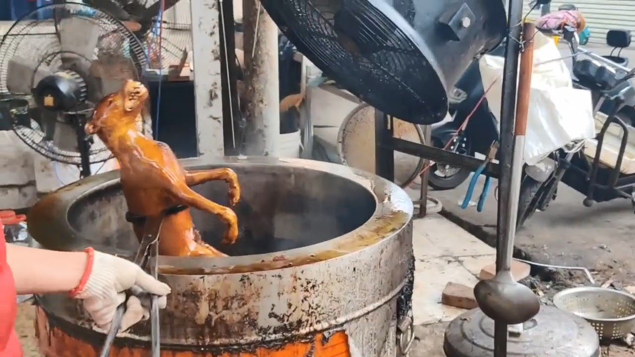 Weird street foods | Dog meat deep frying in Chinese street food ...