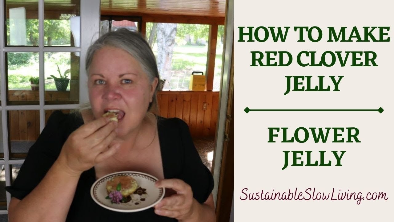 How to Make Red Clover Jelly | EASY & DELICIOUS Flower Jelly Recipe ...