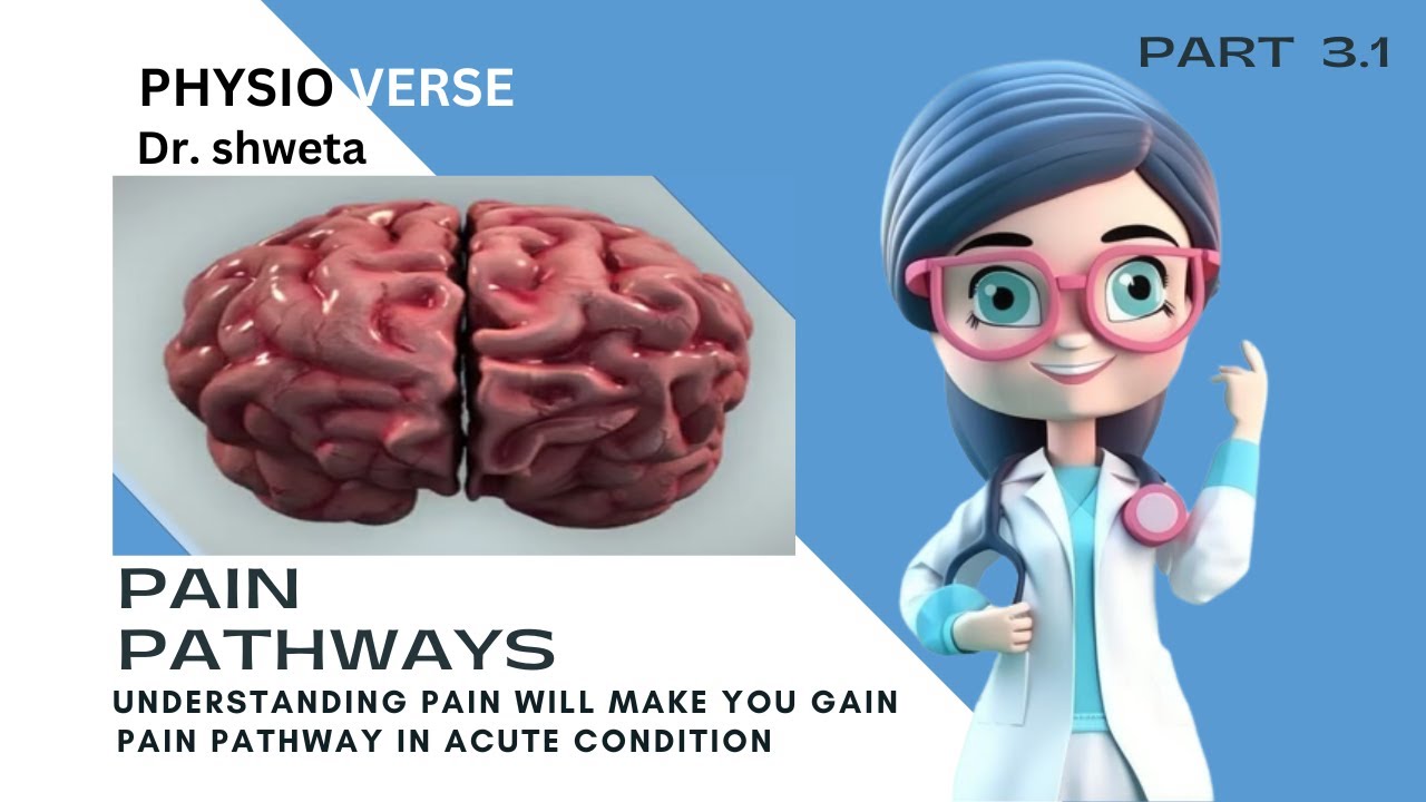 PAIN PATHWAY IN ACUTE CONDITION | FLEXOR WITHDRAWAL REFLEX | CROSS ...