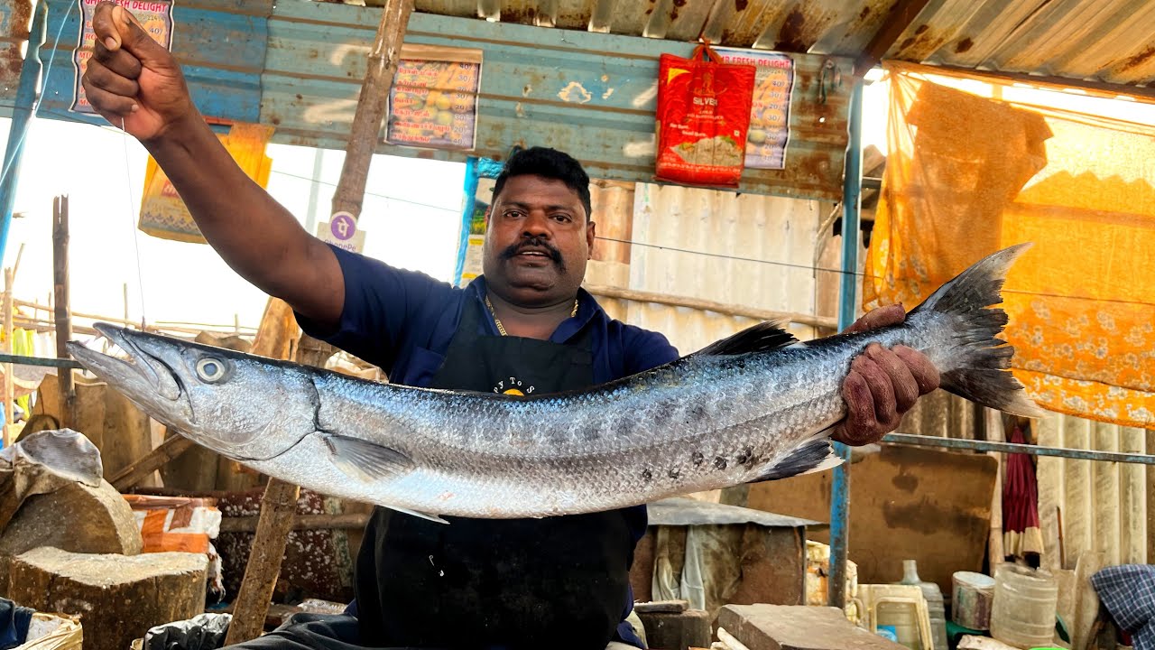 BIG SHEELA FISH 🐟 KASIMEDU SPEED SELVAM AMAZING FISH CUTTING SKILLS # ...