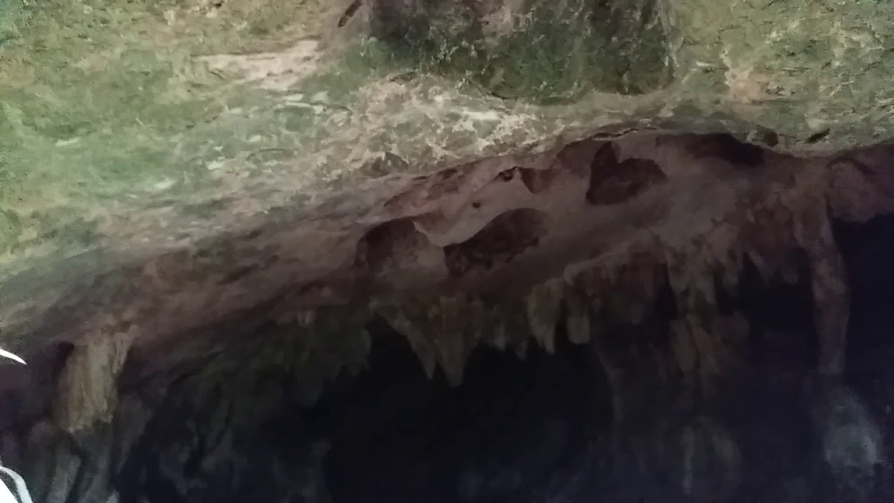 Kipot cave Sapi-an Capiz | Balinsasayaw Bird - YouTube