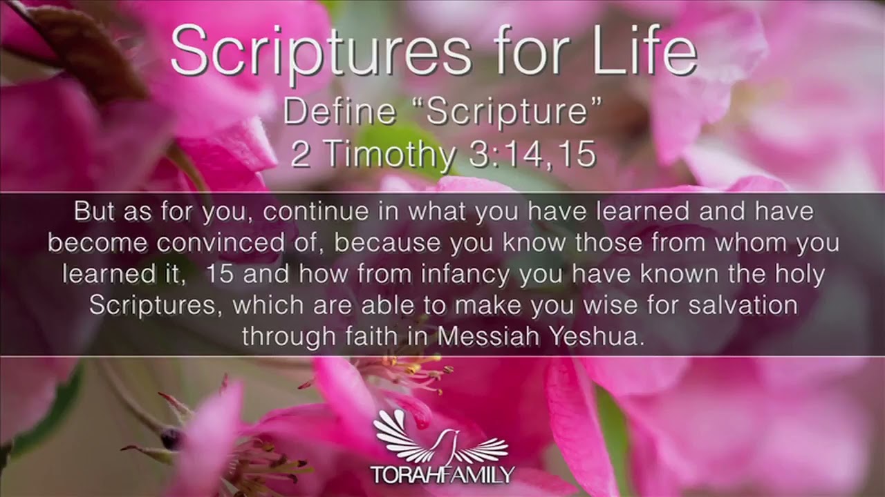 Scriptures for Life | Define "Scripture" - YouTube