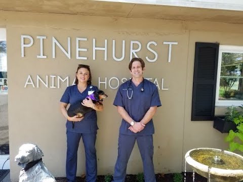 The PRC visits Pinehurst Animal Hospital. - YouTube