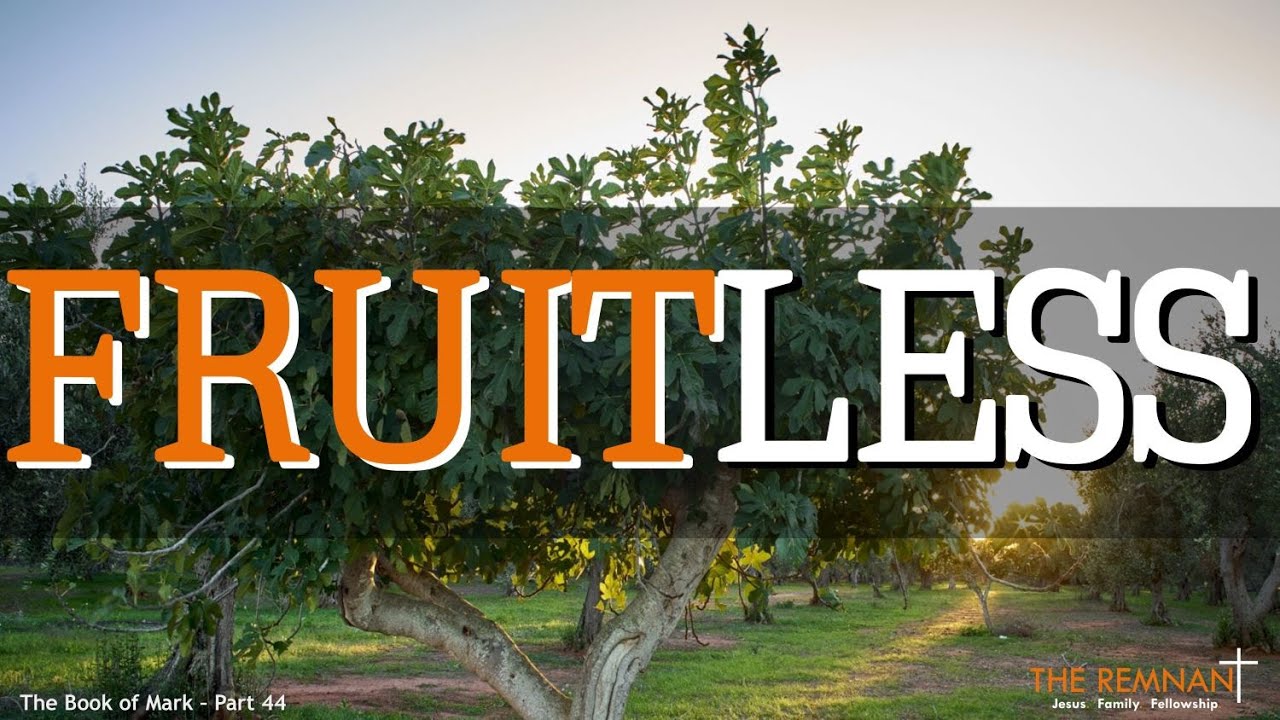 Fruitless #fruit #jesus #figtree - YouTube