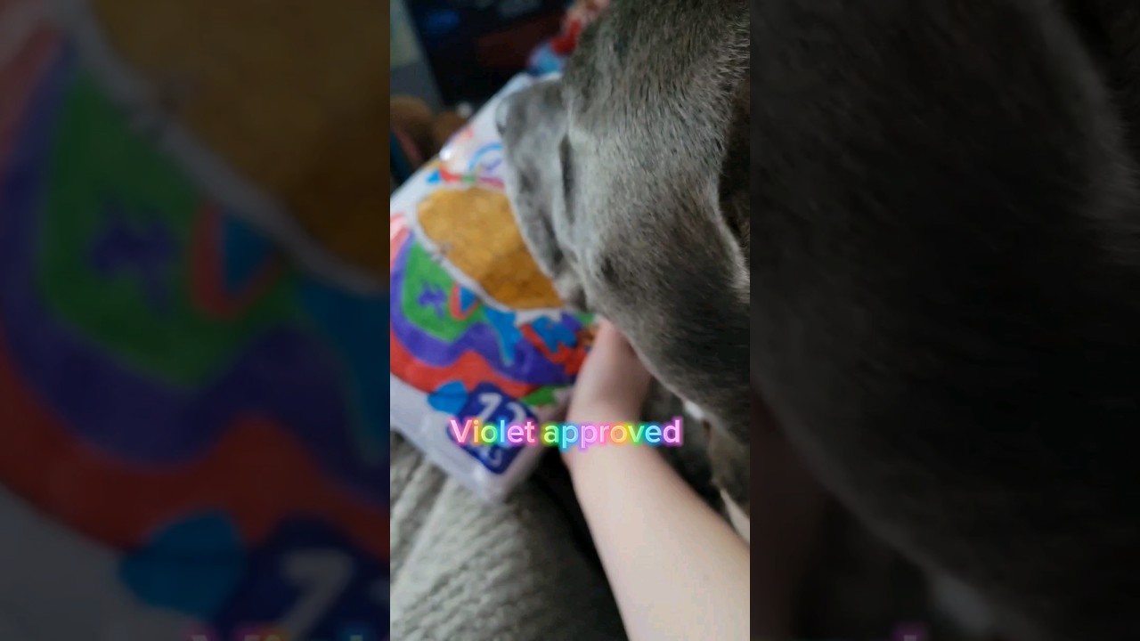 How to make a Cinnamon Toast Crunch Paper Squishy 😁 #papersquishies ...