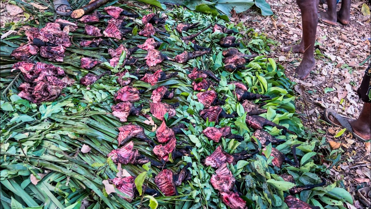 Hunting with Egba Hunters-Nigerian Hunting Style Ep4 Part3b- Hunters ...