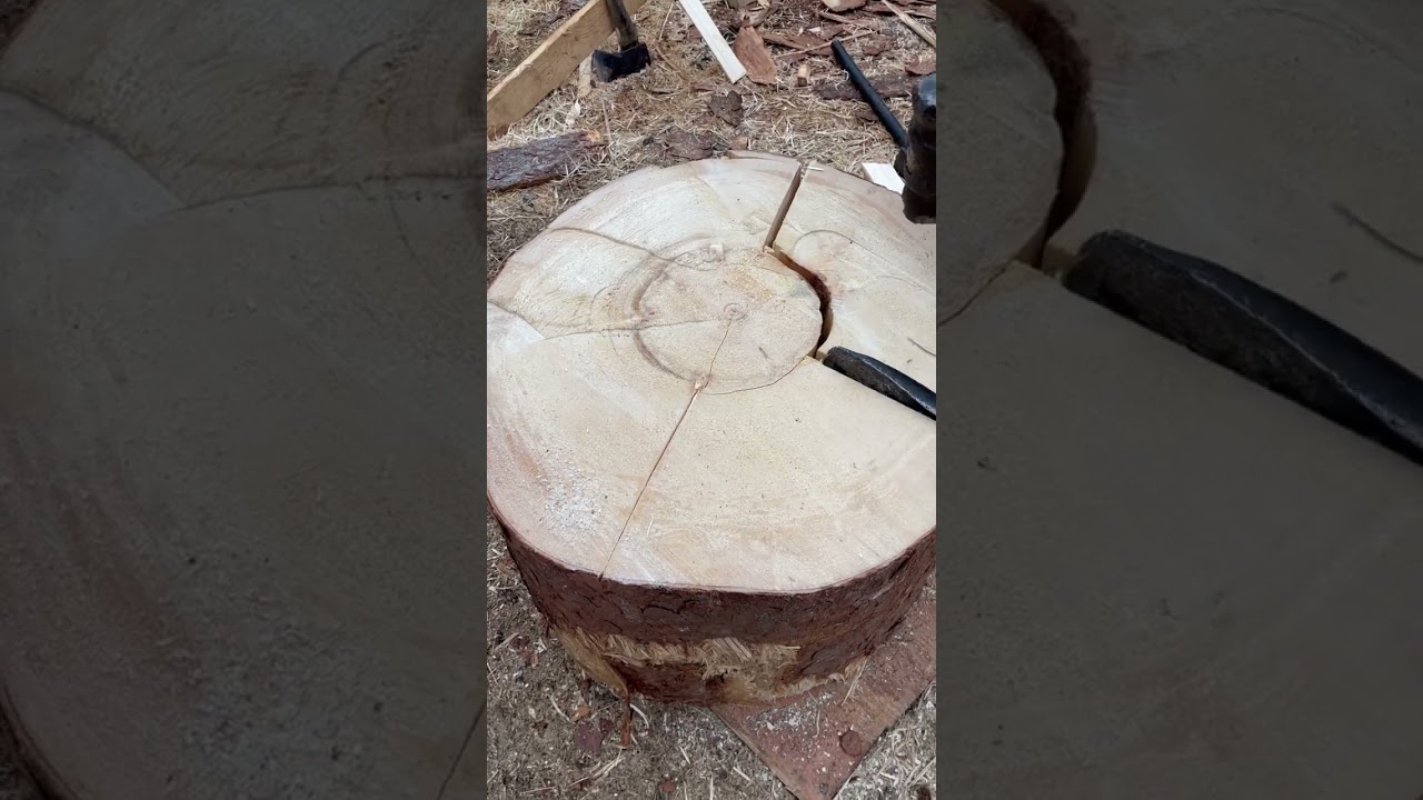Here's an Interesting Log - YouTube