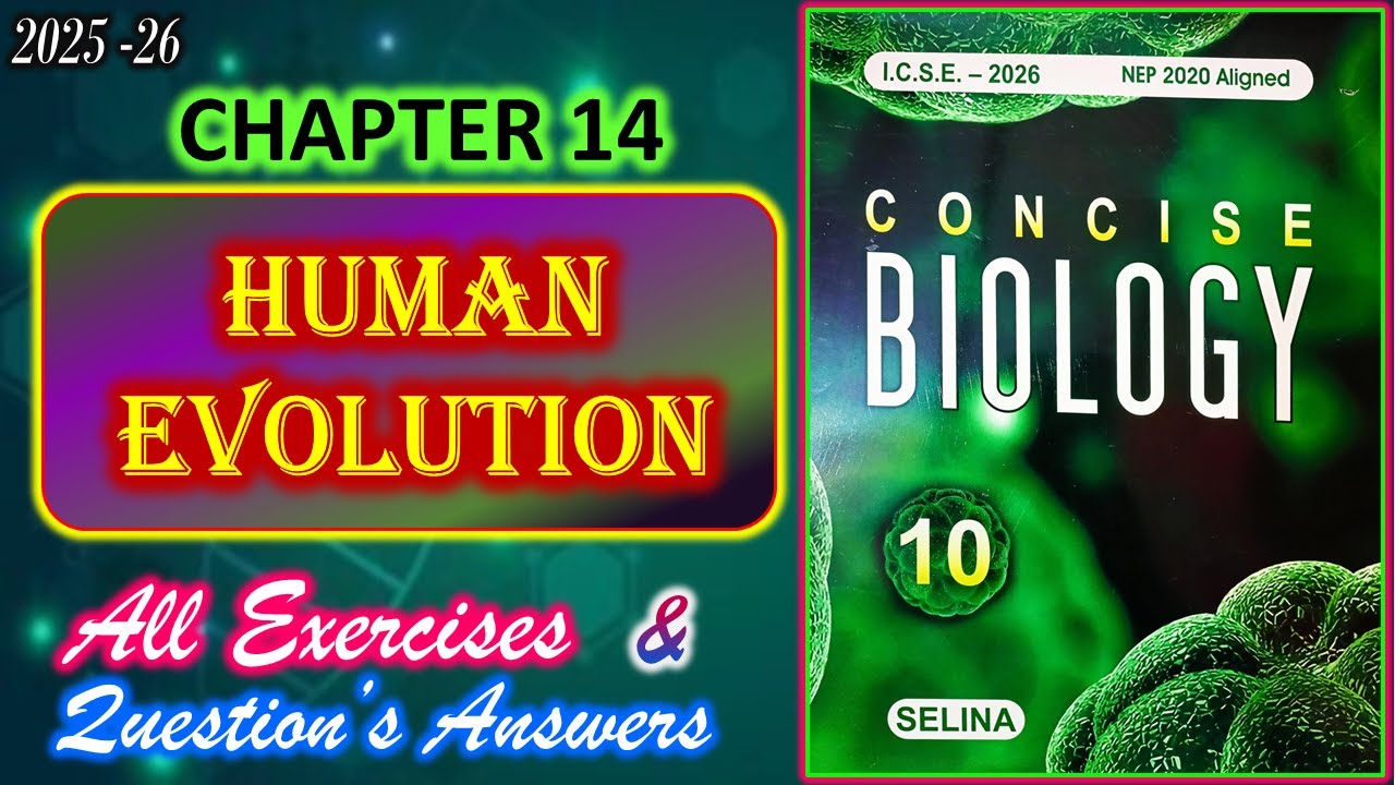 Human Evolution | Class 10 Biology | Chapter 14 | All Answers | 2025-26 ...