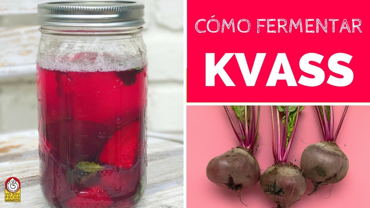 Cómo hacer una BEBIDA PROBIÓTICA con la remolacha (betabel) - YouTube