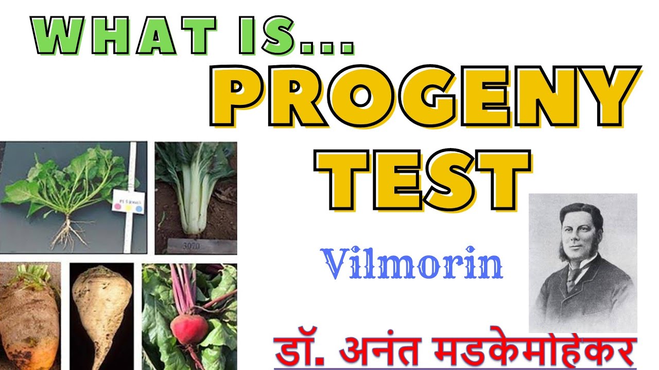 Progeny test (Vilmorin Principle) - YouTube