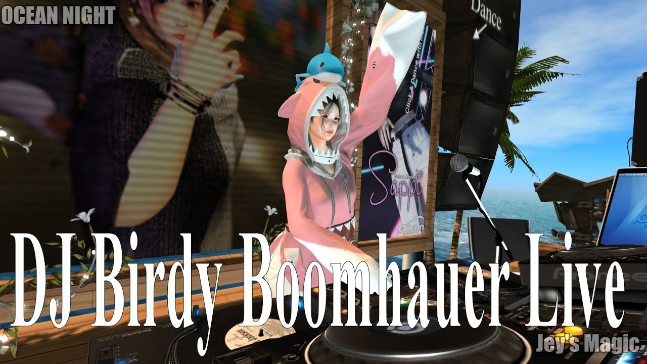 DJ Birdy Boomhauer 20230428 Live - YouTube