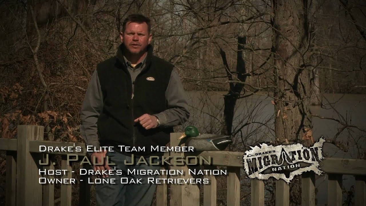 Drake's Migration Nation Season 1 Sizzle - YouTube