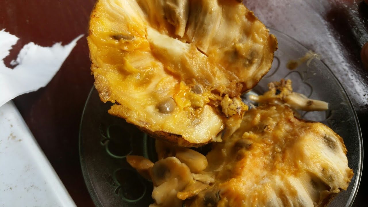 Sirsak kuning atau annona montana atau sirsak gunung - YouTube