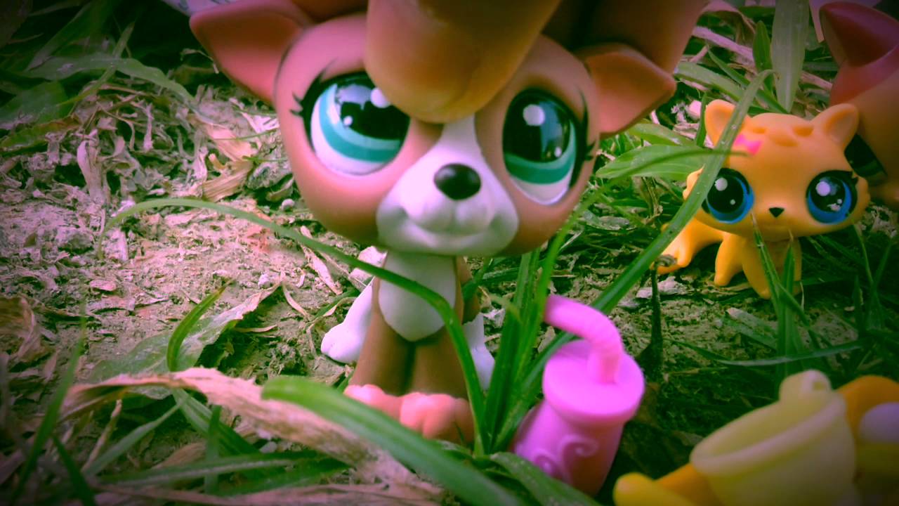 Lps camping trip (Thai) - YouTube