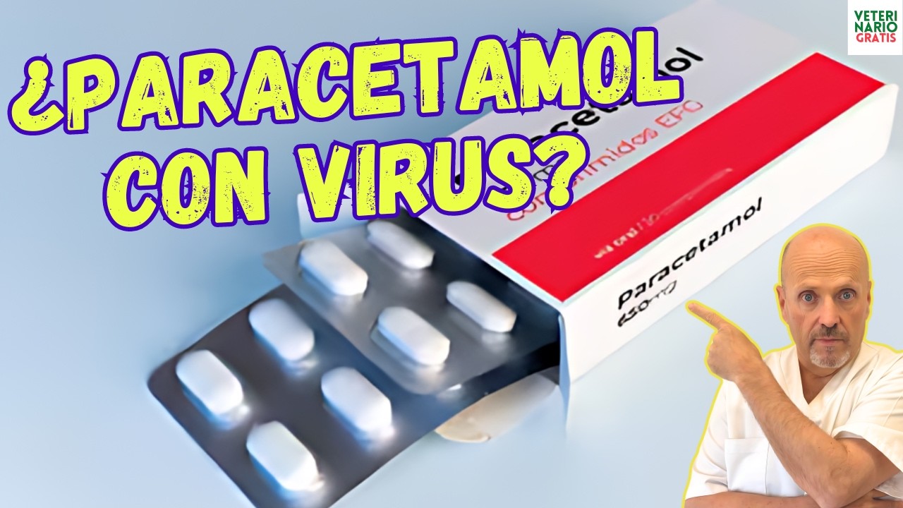 🚨 ¿ES CIERTO O FALSO QUE UNA NUEVA PASTILLA DE PARACETAMOL 500 LLEVE EL ...