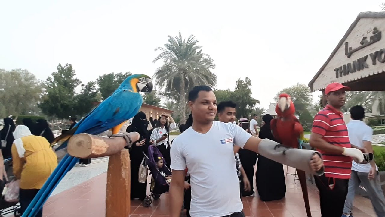 Al Areen Wildlife Park (Zoo) | 8 Nov 2019 | Bahrain - YouTube