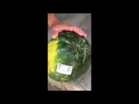 Bakı da marketden alınan qarpızın içinden qaz cixir:)
