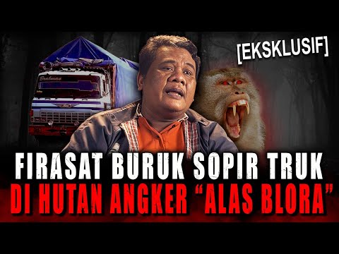 MELUDAH SEMBARANGAN DI HUTAN ANGKER ALAS BLORA SOPIR TRUK INI DIBAWA ROMBONGAN SILUMAN MONYET !!