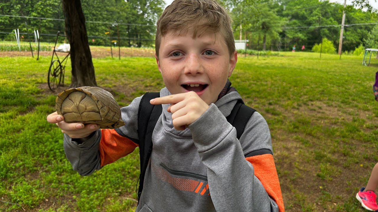 Meet Blue the Box Turtle! - YouTube