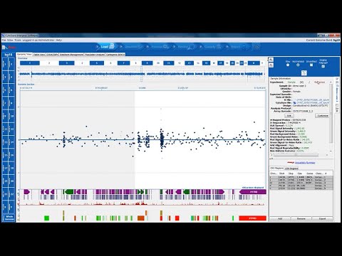 CytoSure Interpret Software – Probe filtering - YouTube