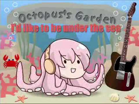 巡音ルカさんに Tako Luka - Octopus's Garden を歌ってもらいました (English Sub) - YouTube