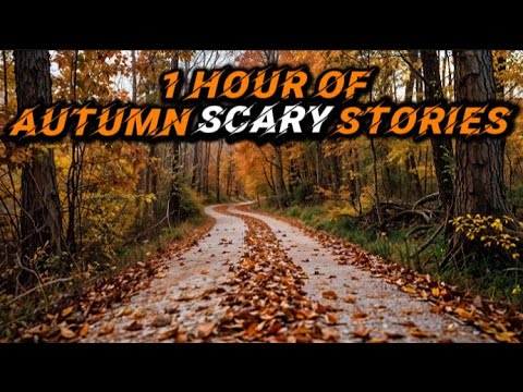 10 TRUE Disturbing Autumn Horror Stories for Sleep 😴 | Aftermoon ...