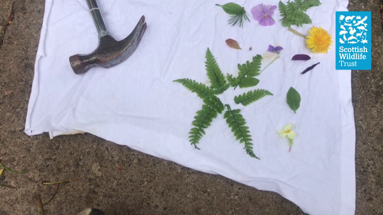 How to do leaf bashing - YouTube