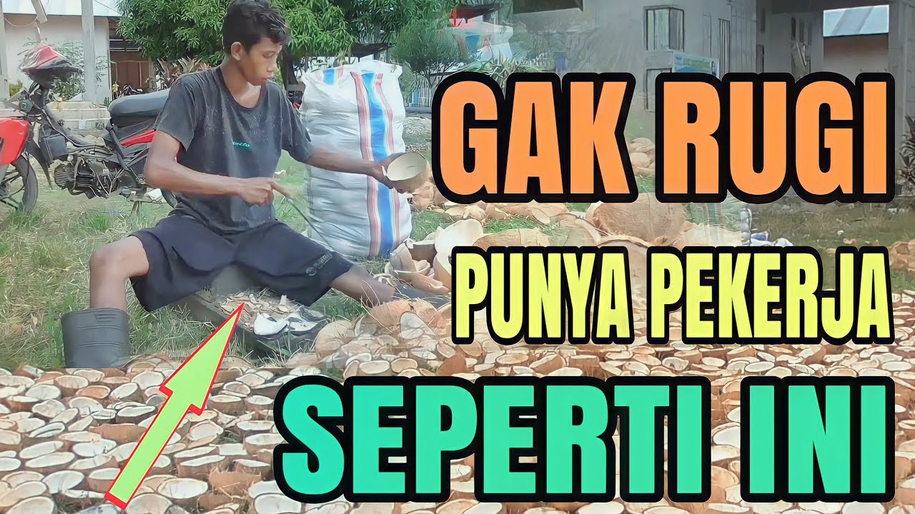 CUNGKIL KOPRA ASALAN TERBAIK 2022 || SKILL NYA MANTAP - YouTube