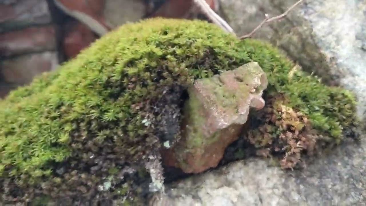 Old World Melted Ruins and Red Bricks - YouTube