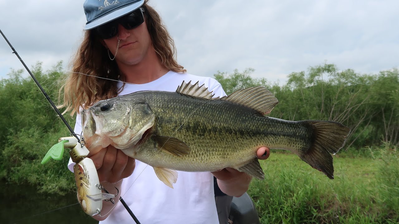 Fishing a Tiny Creek Full of Big Bass - YouTube