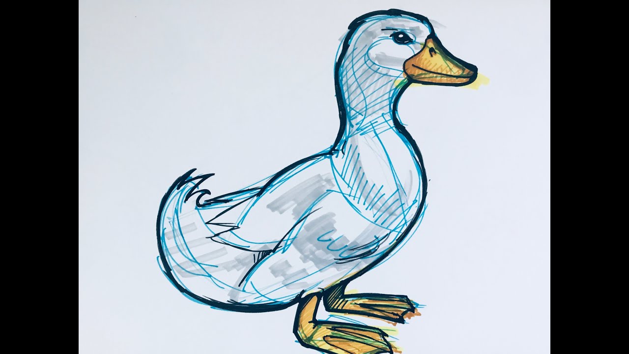 A Duck and a Lahmie - YouTube