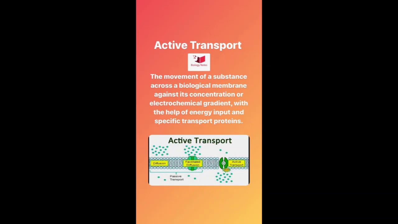 Active Transport | Biology Notes - YouTube