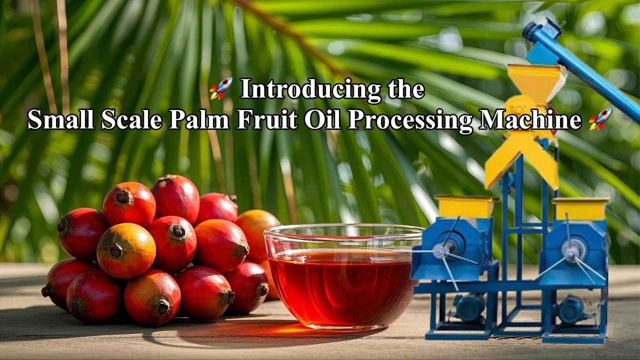 Small Scale Palm Fruit Oil Processing Machine – High Efficiency for ...