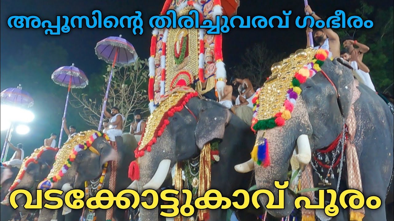 വടക്കോട്ടുകാവ് പൂരം 2024|Vadakkottukavu Sree Dharmasastha temple ...