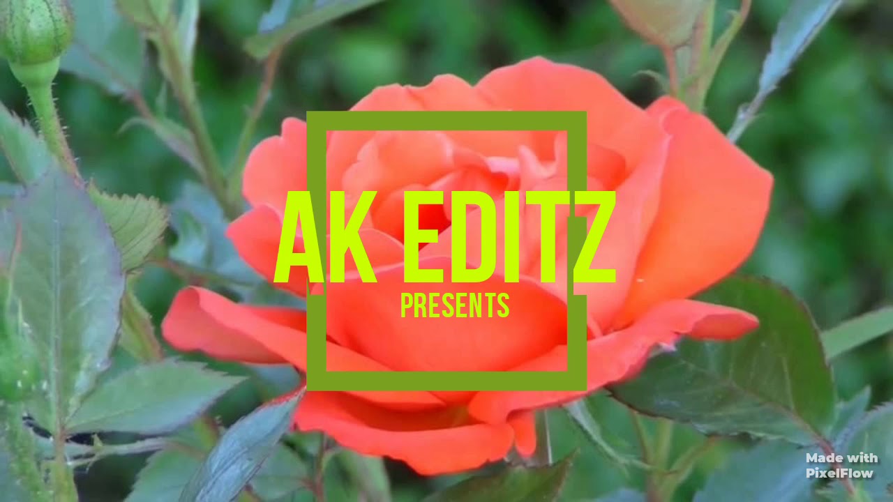 AK editz - YouTube